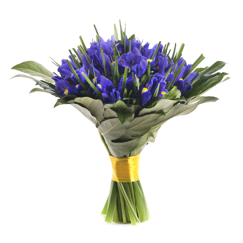 Kvety a kytice k narodeninám | KVETY.sk