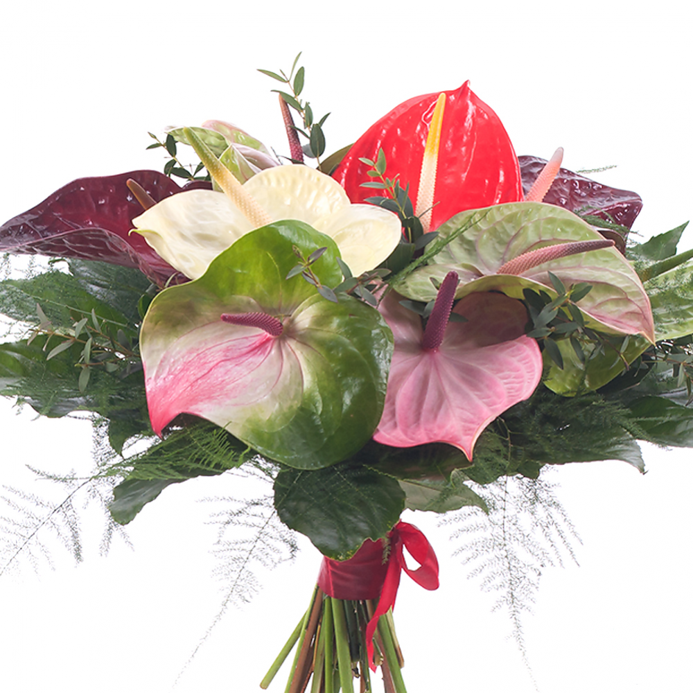 Kytica kvetov - Farebné antúrie | KVETY.sk