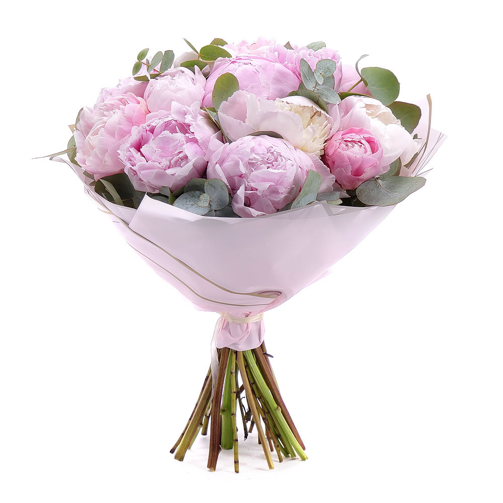 kytica kvetov - Sweet ružové pivónie a eukalyptus | KVETY.sk