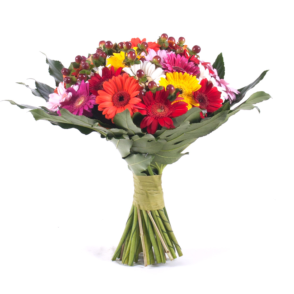 Kytica kvetov - Passion farebné gerbery | KVETY.sk