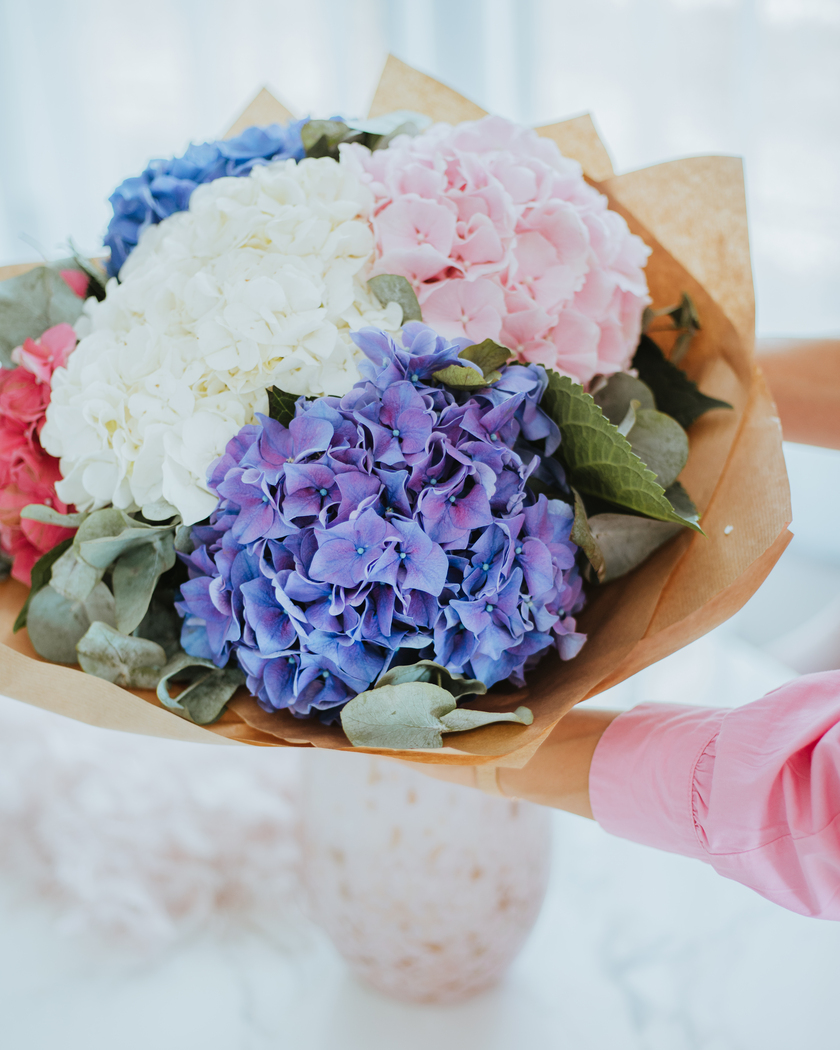 Kytica kvetov - Sweet farebné hortenzie | KVETY.sk
