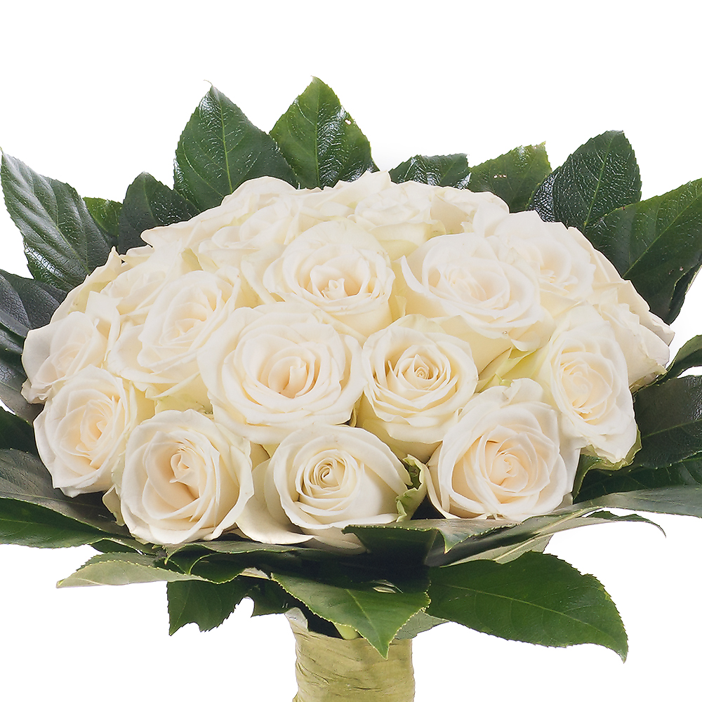 Kytica kvetov - Passion krémové ruže | KVETY.sk