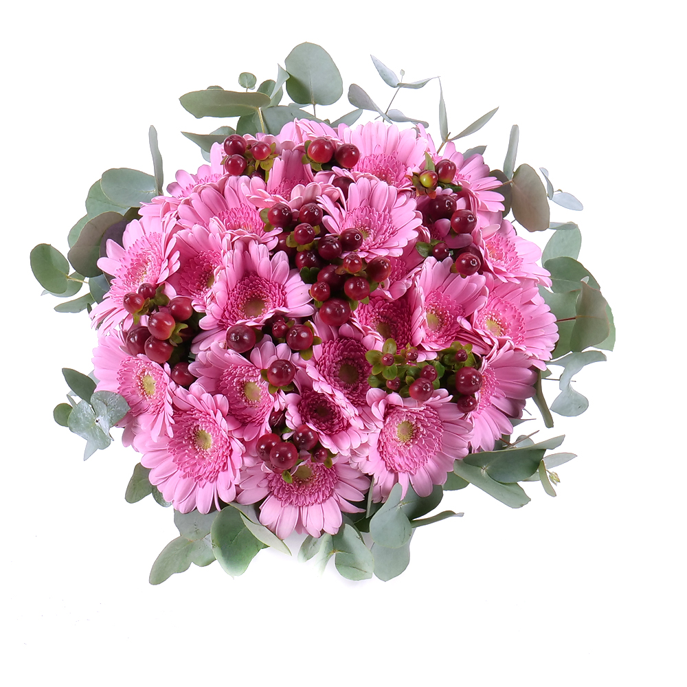 Perla ružové mini gerbery | KVETY.sk